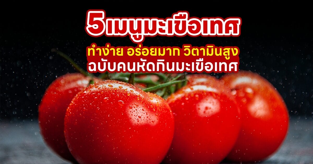 5 เมนูมะเขือเทศ ทำง่าย อร่อยมาก วิตามินสูง ฉบับคนหัดกินมะเขือเทศ | decorib
