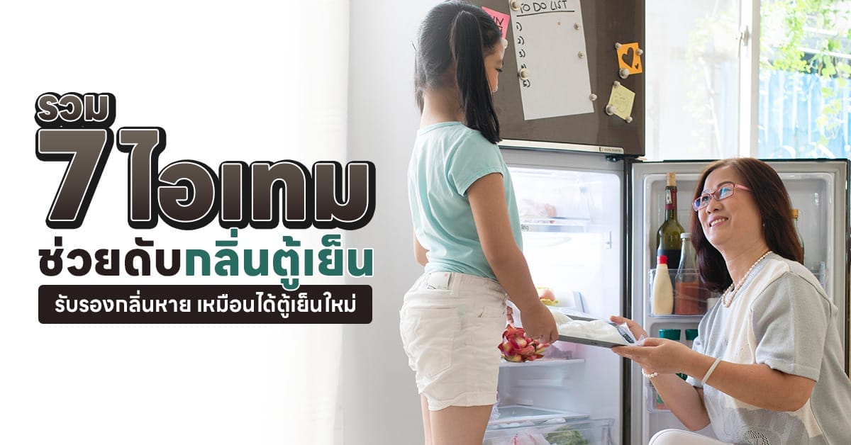 รวม 7 ไอเทมช่วย ดับกลิ่นตู้เย็น รับรองกลิ่นหาย เหมือนได้ตู้เย็นใหม่ | decorib